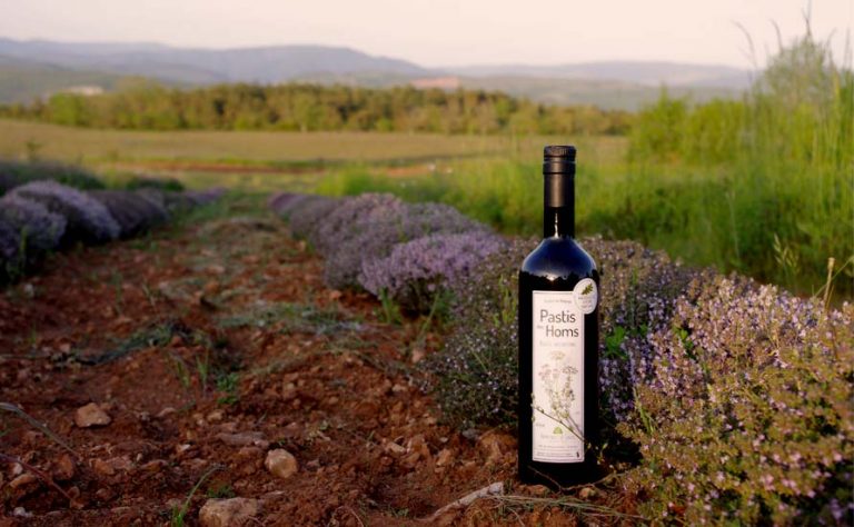 Pastis et autres – Gîte de groupe La Communale